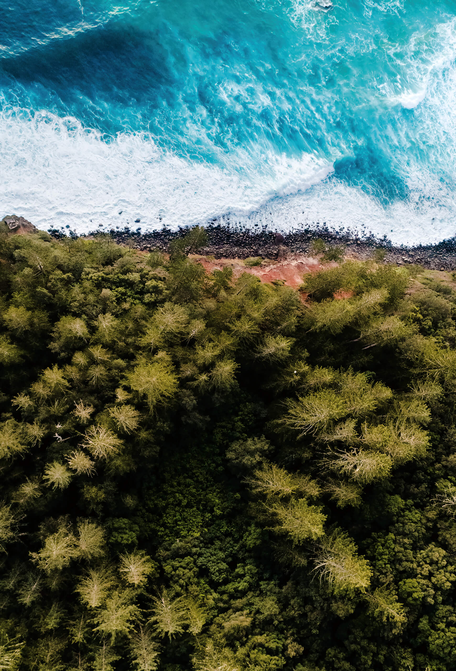 Discover island treasures | Mindful Puzzles